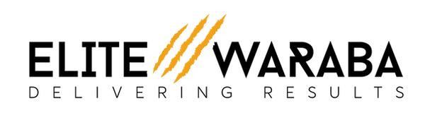 Sales experts in Africa for strategy, training, recruitment, and outsourcing at Elite WARABA